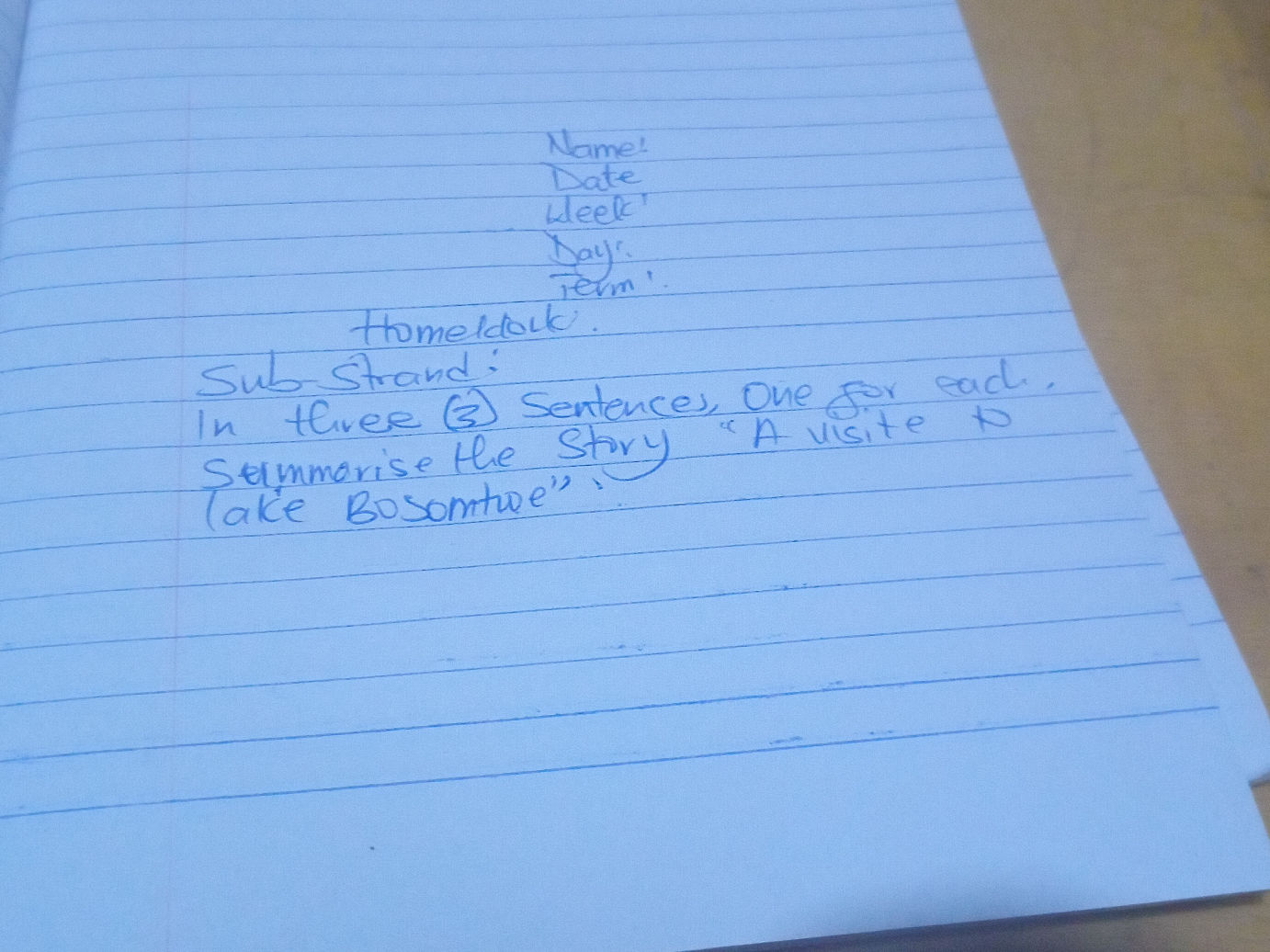 Homeldork. Sub Strand: In three (3) | StudyX