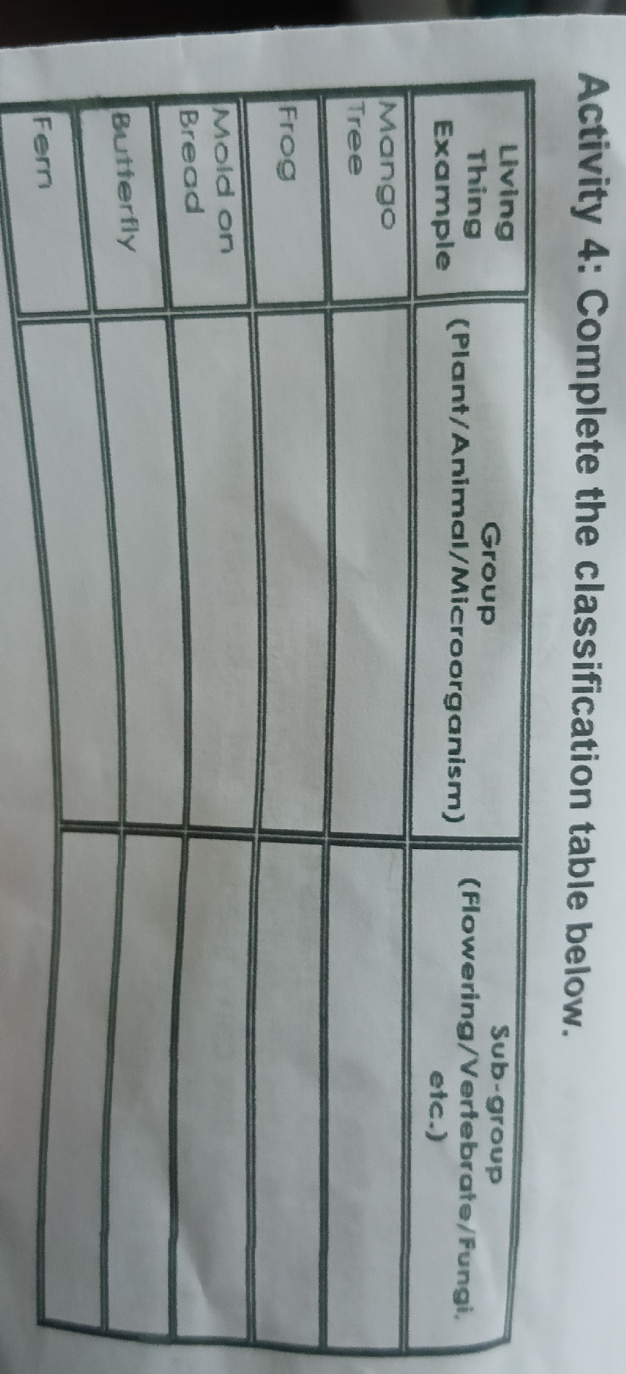 Activity 4: Complete the classification | StudyX