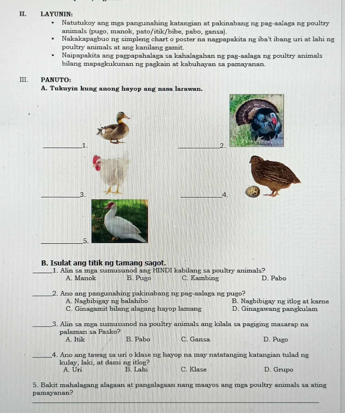A. Tukuyin kung anong hayop ang nasa | StudyX