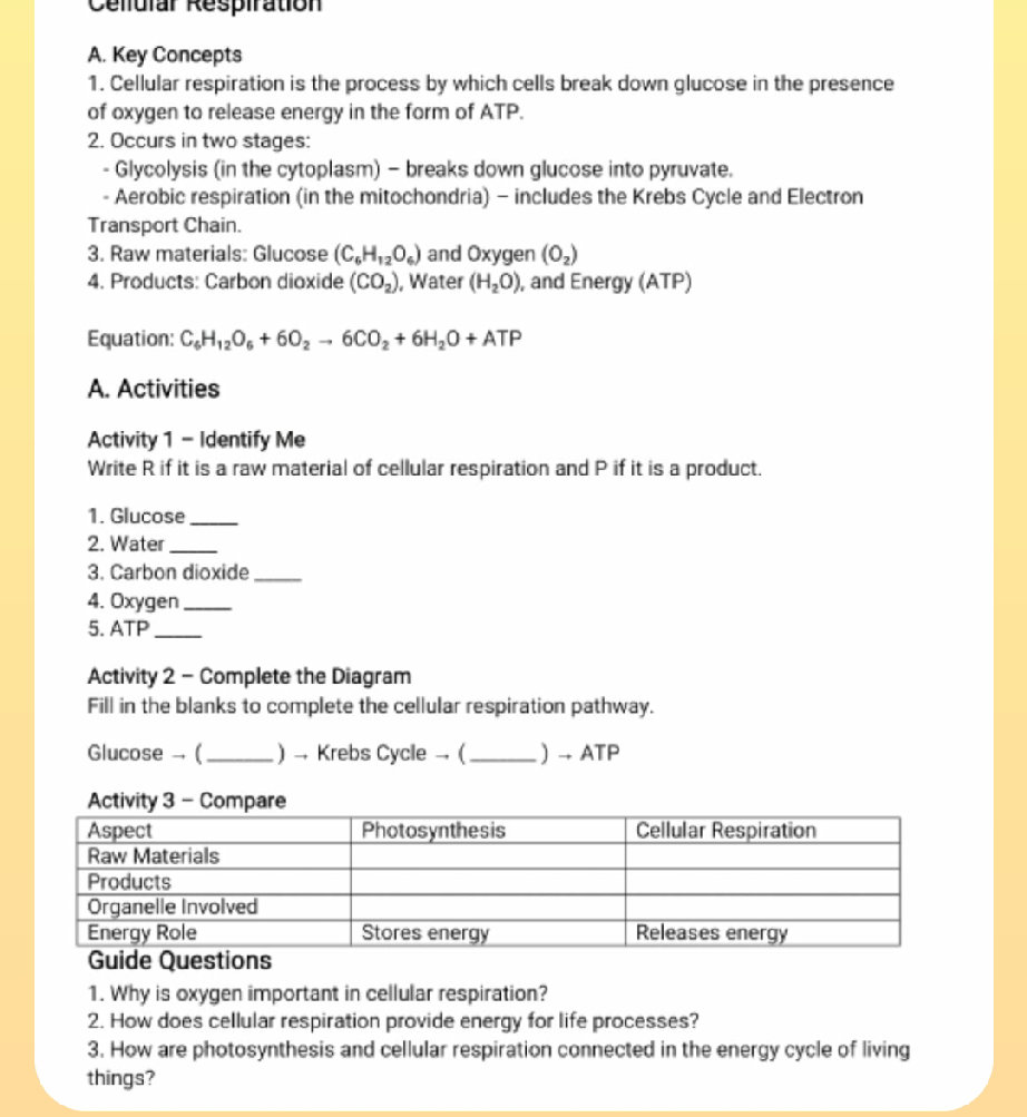 Cellular Respiration A. Key Concepts 1. | StudyX