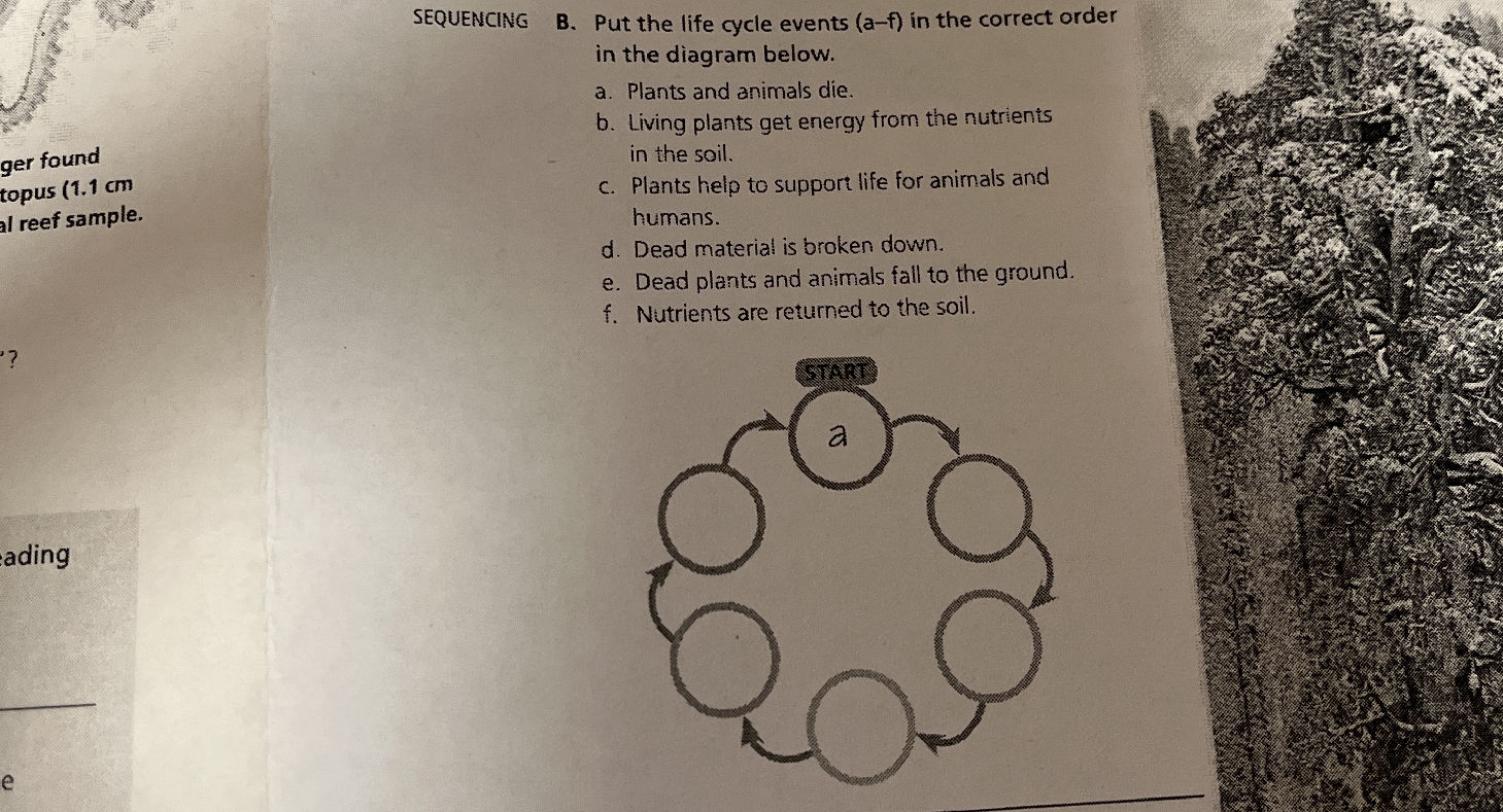 Put the life cycle events (a-f) in the | StudyX