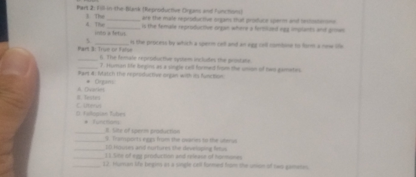 Part 4. Match the reproductive organ with | StudyX