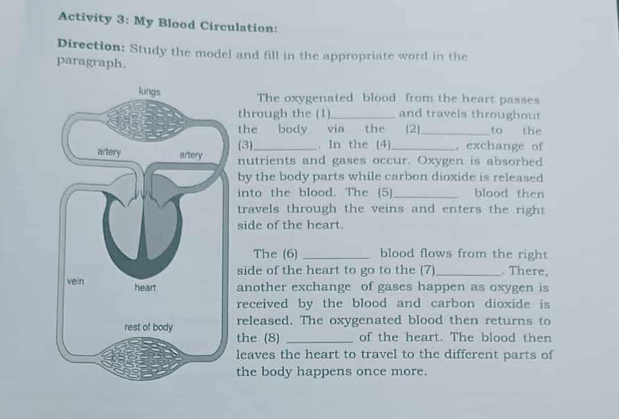 The oxygenated blood from the heart passes | StudyX