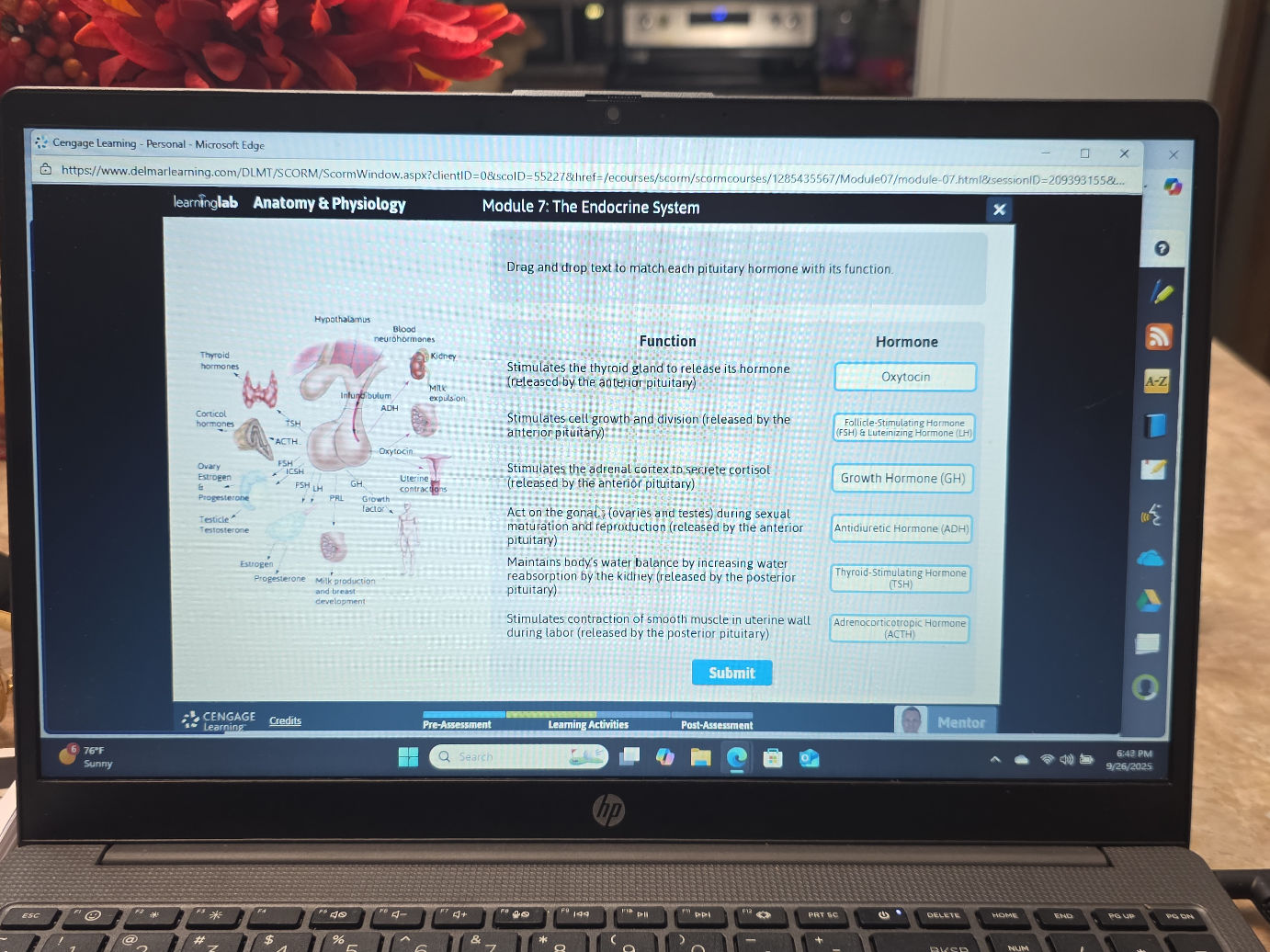 Drag and drop text to match each pituitary | StudyX