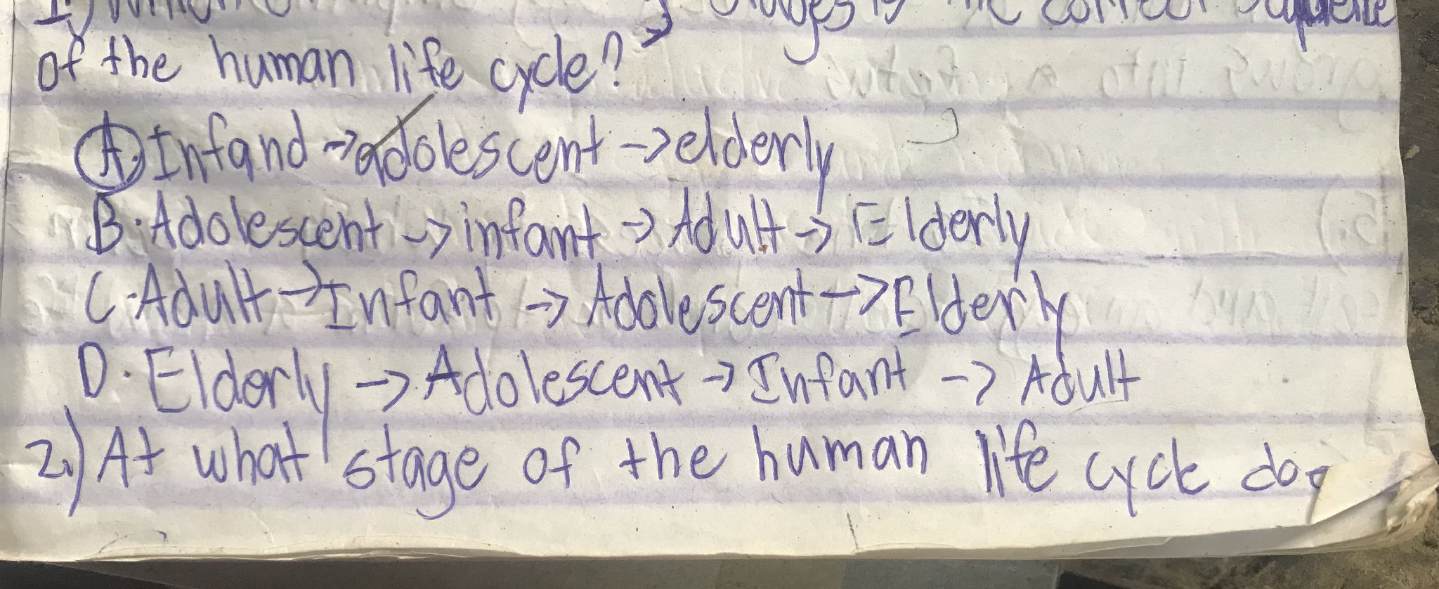 1) Which stages is the correct sequence of | StudyX