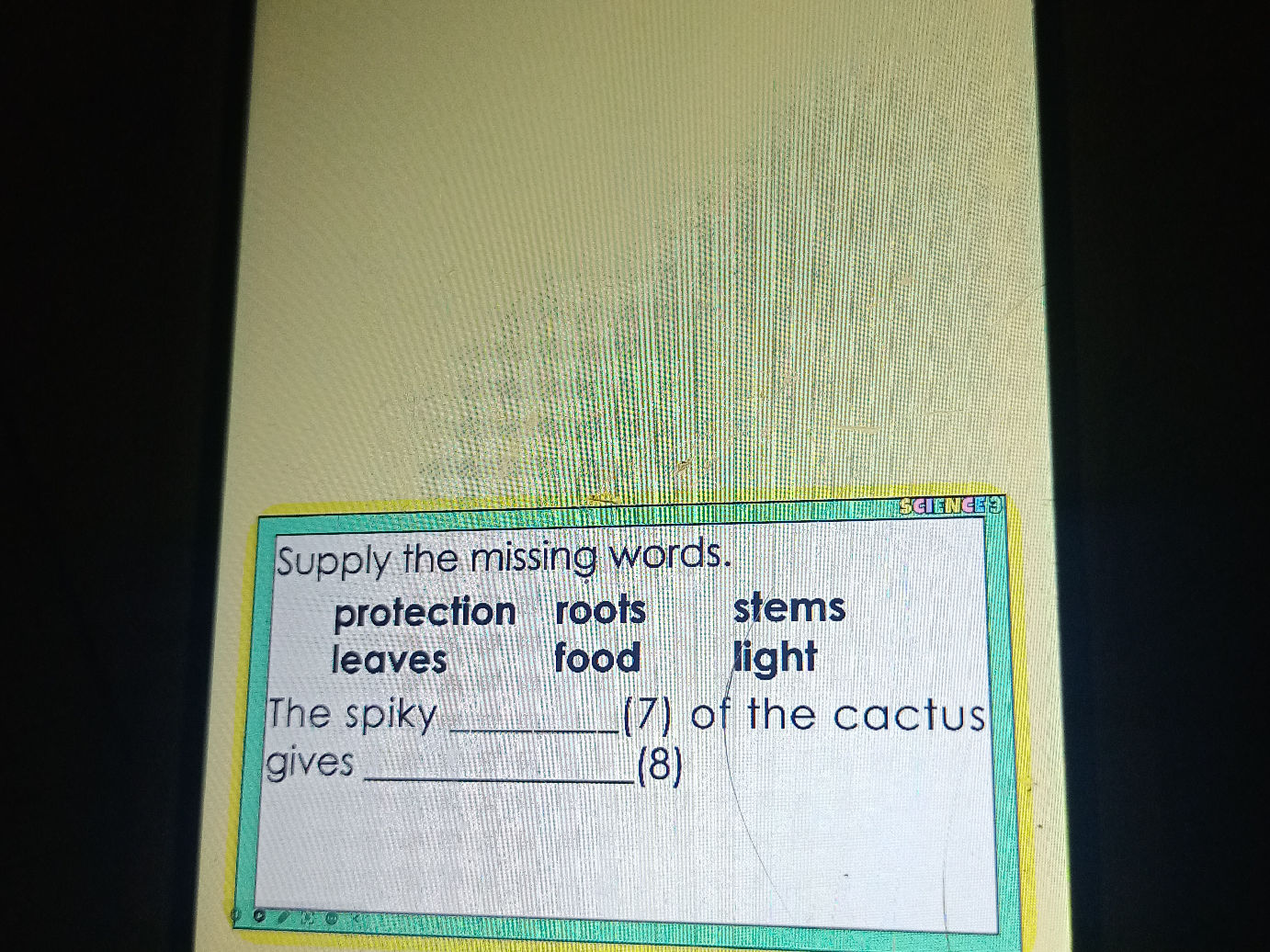 Supply the missing words. protection roots | StudyX