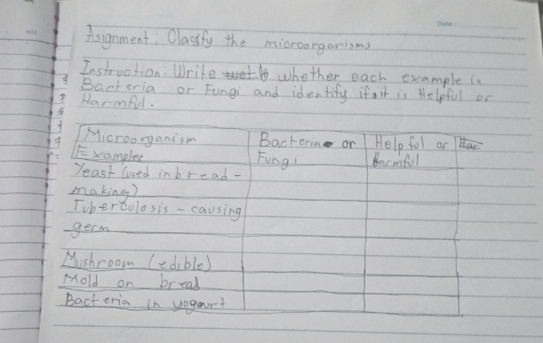 Assignment: Classify the microorganisms | StudyX