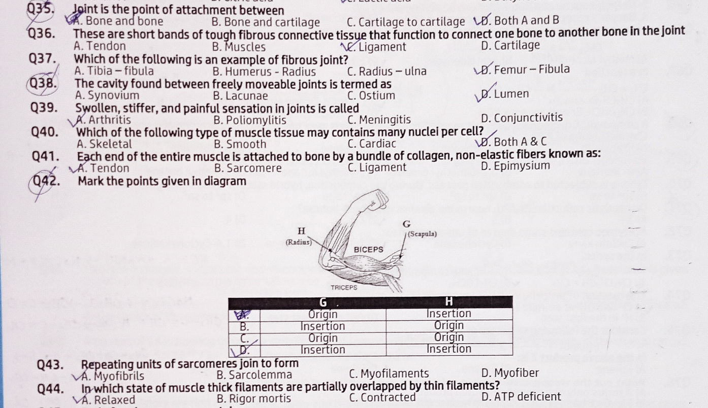 Q37. Which of the following is an example of | StudyX