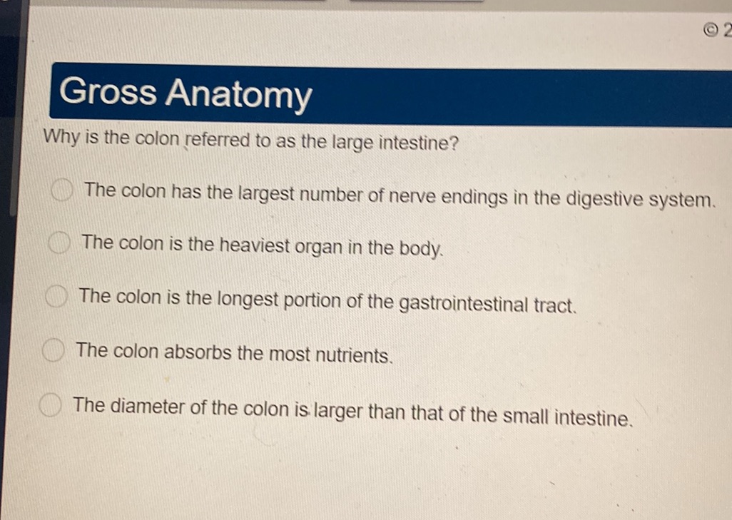 Why is the colon referred to as the large