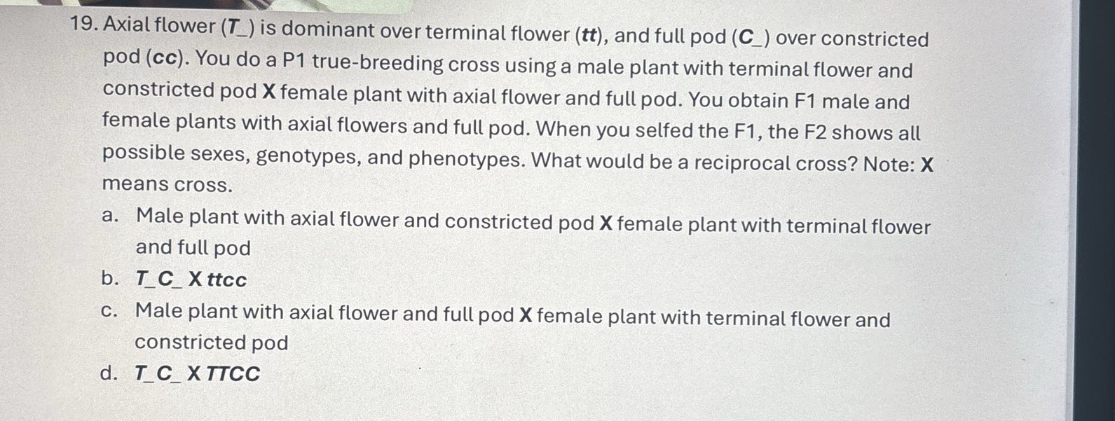Axial flower (T_) is dominant over terminal | StudyX