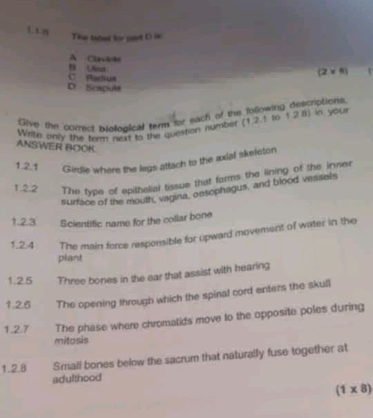 1.18 The tehet for part D: A Clavicle B Ulna | StudyX