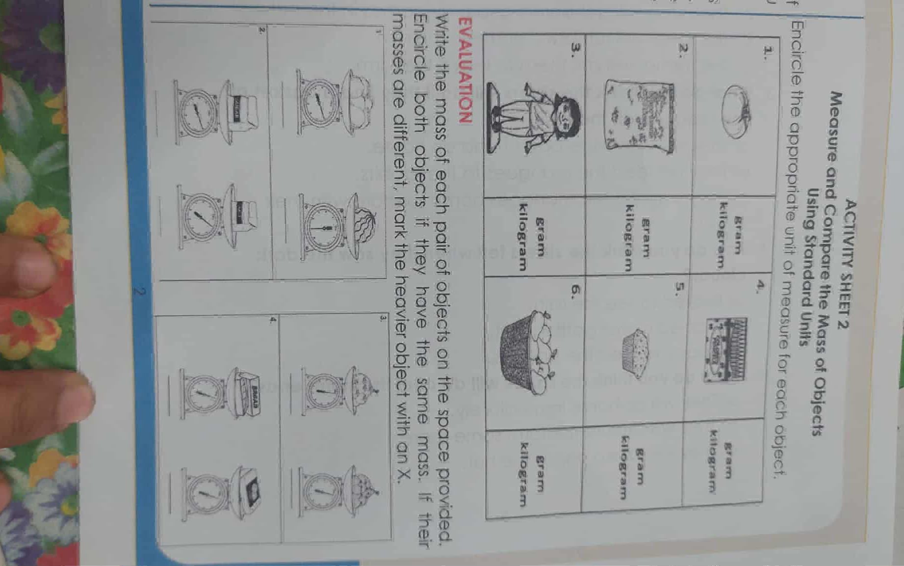 ACTIVITY SHEET 2 Measure and Compare the | StudyX