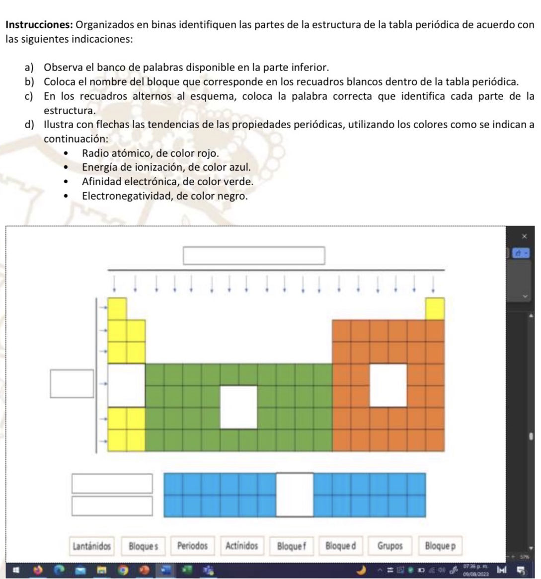 Instrucciones: Organizados en binas | StudyX