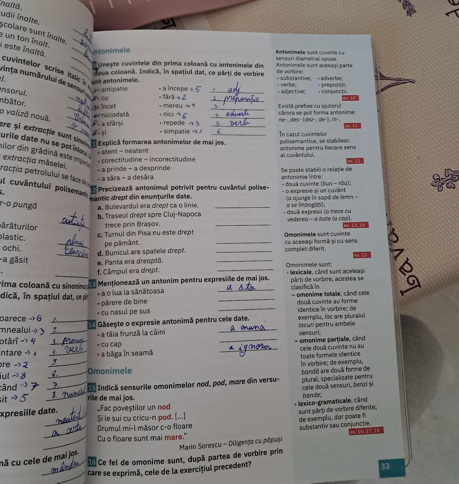 Ce fel de omonime sunt, după partea de | StudyX