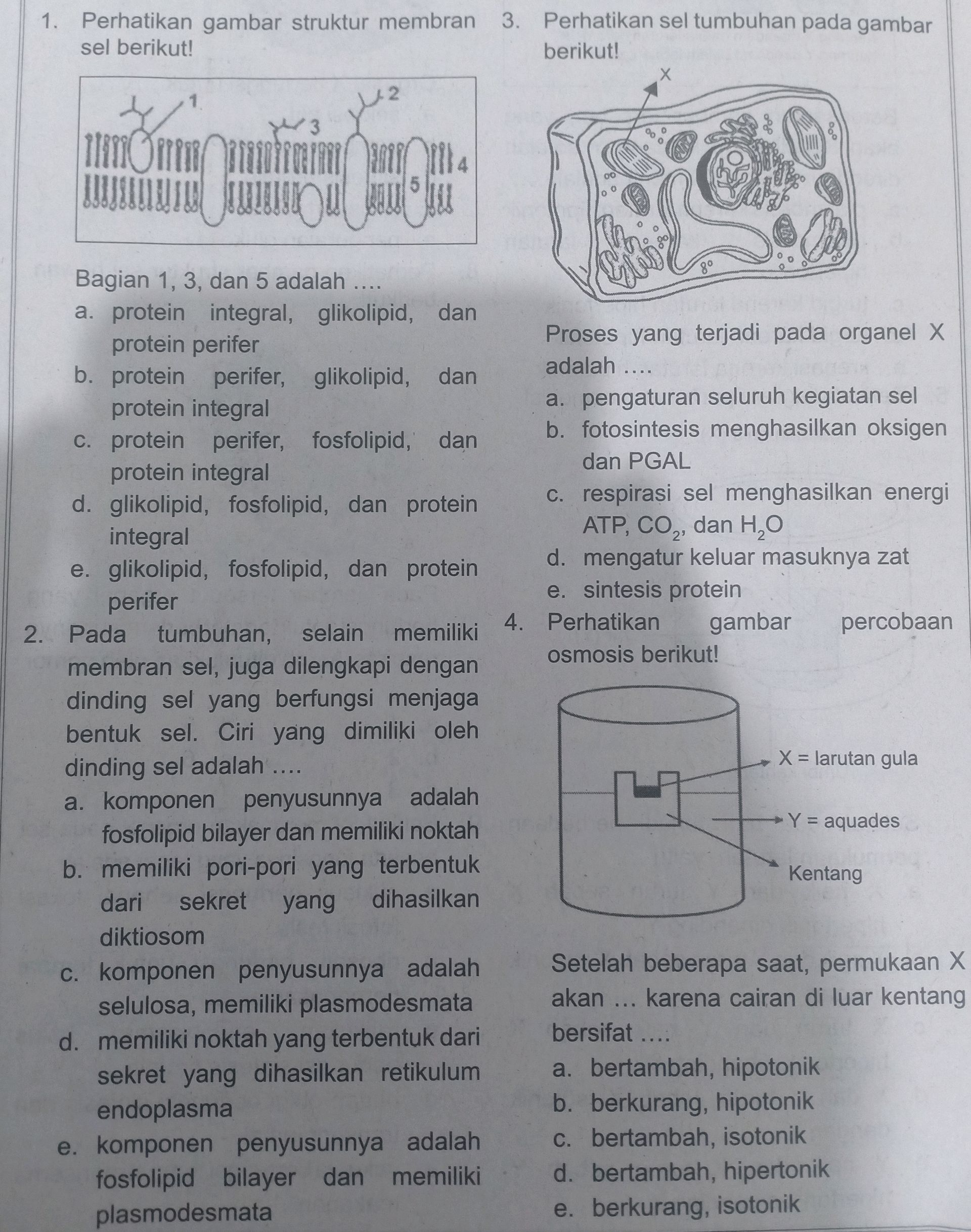 1. Perhatikan gambar struktur membran sel | StudyX