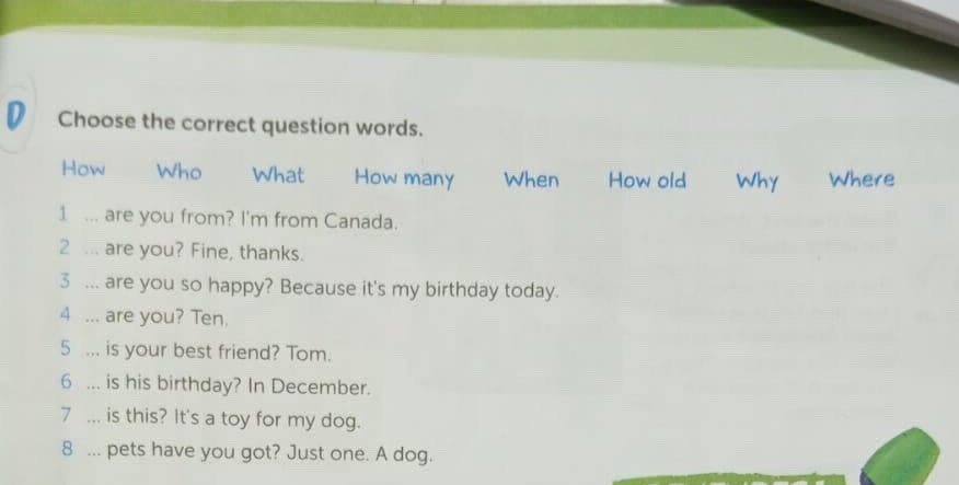 Choose the correct question words. How Who | StudyX