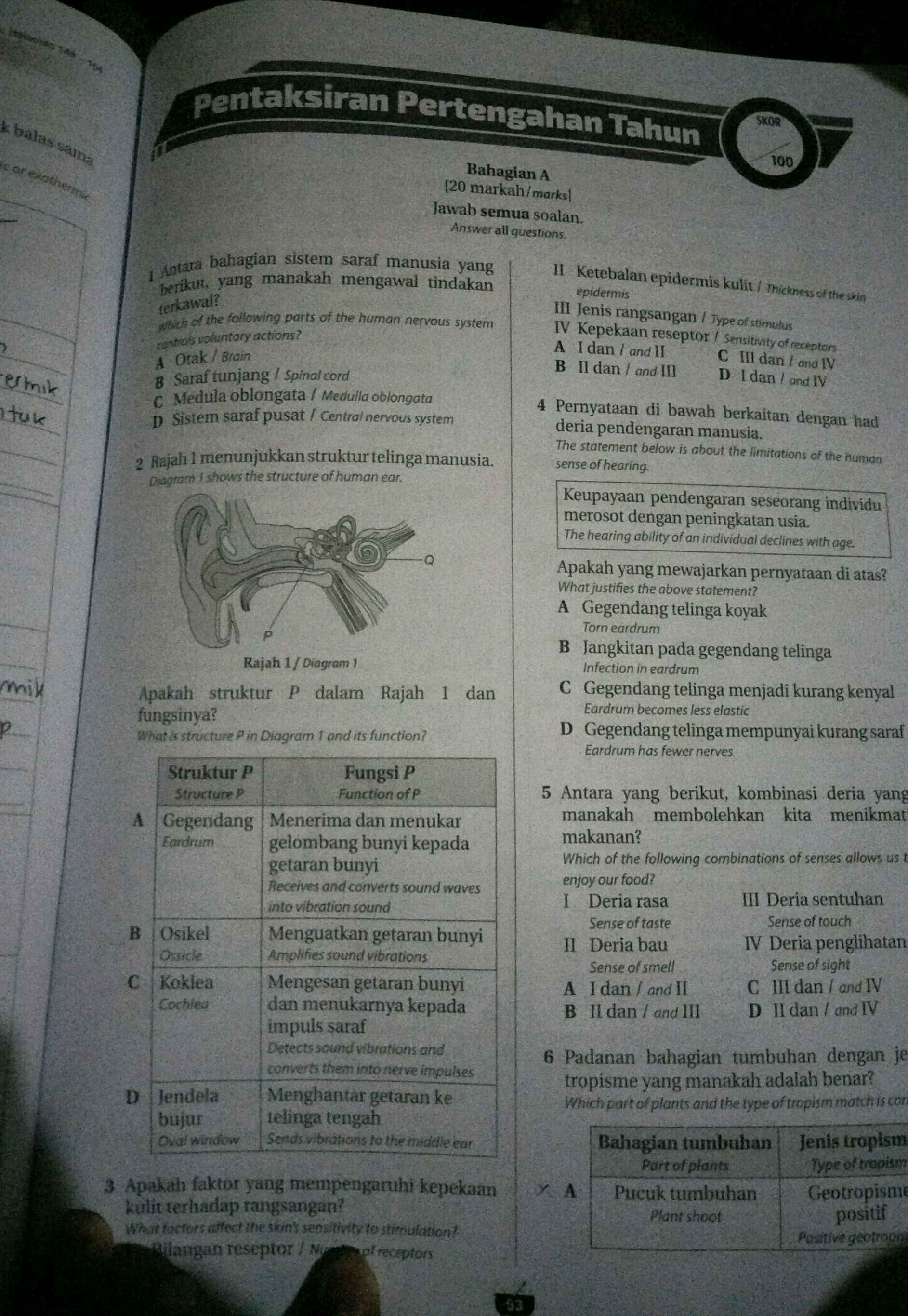 1 Antara bahagian sistem saraf manusia yang | StudyX