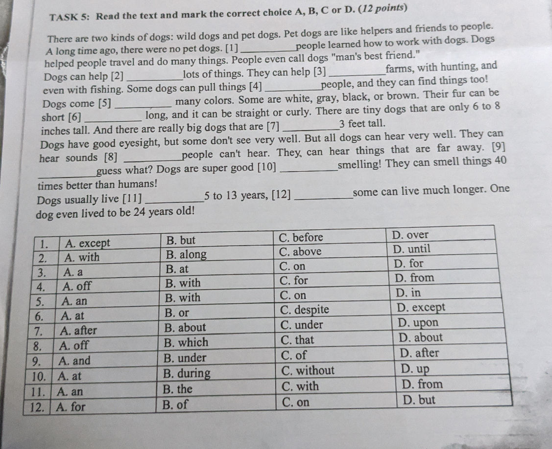 TASK 5: Read the text and mark the correct | StudyX