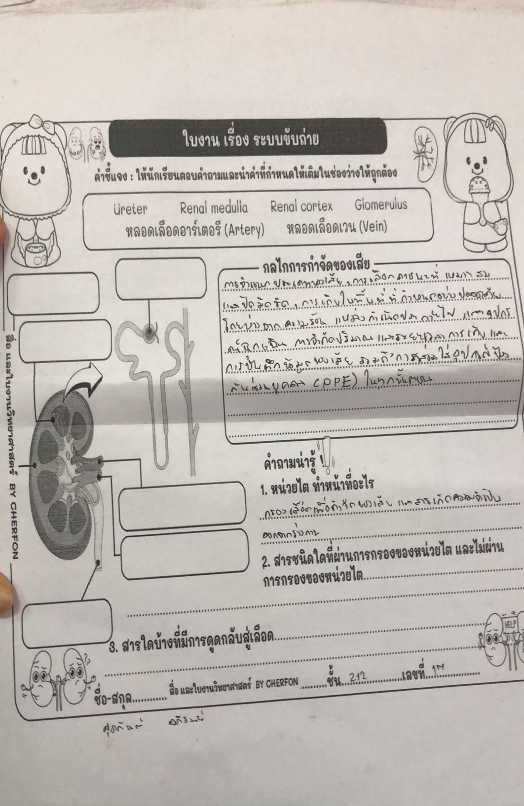 ใบงาน เรื่อง ระบบขับถ่าย คำชี้แจง : | StudyX