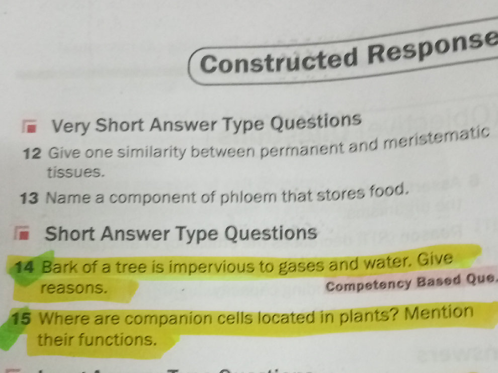 12 Give one similarity between permanent and | StudyX