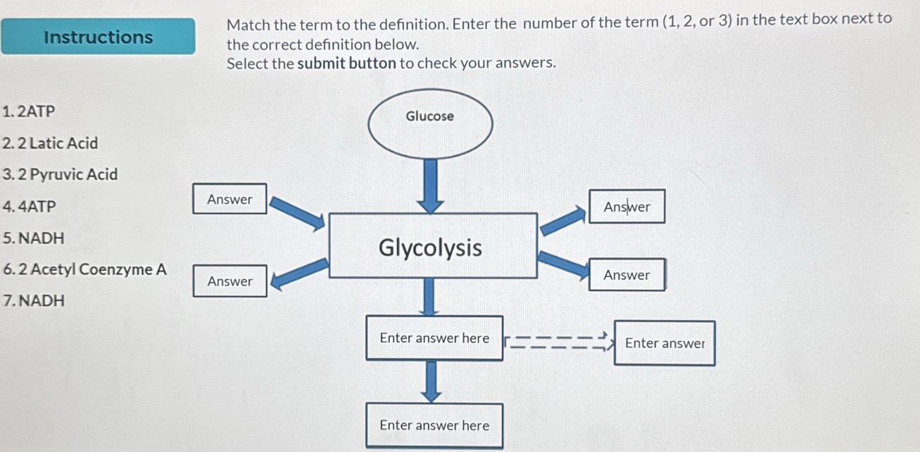 Match the term to the definition. Enter the | StudyX