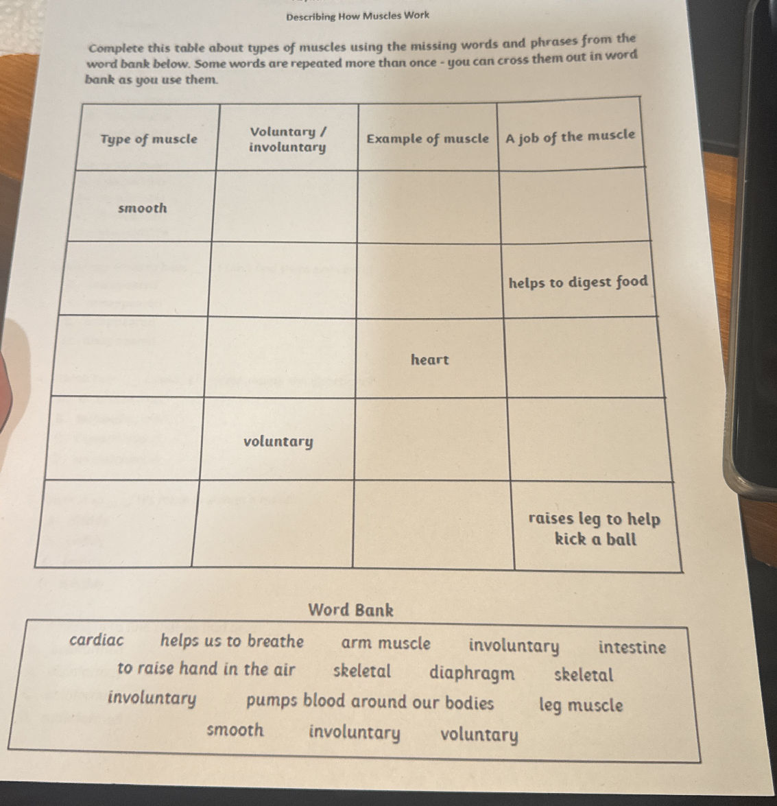 Complete this table about types of muscles | StudyX