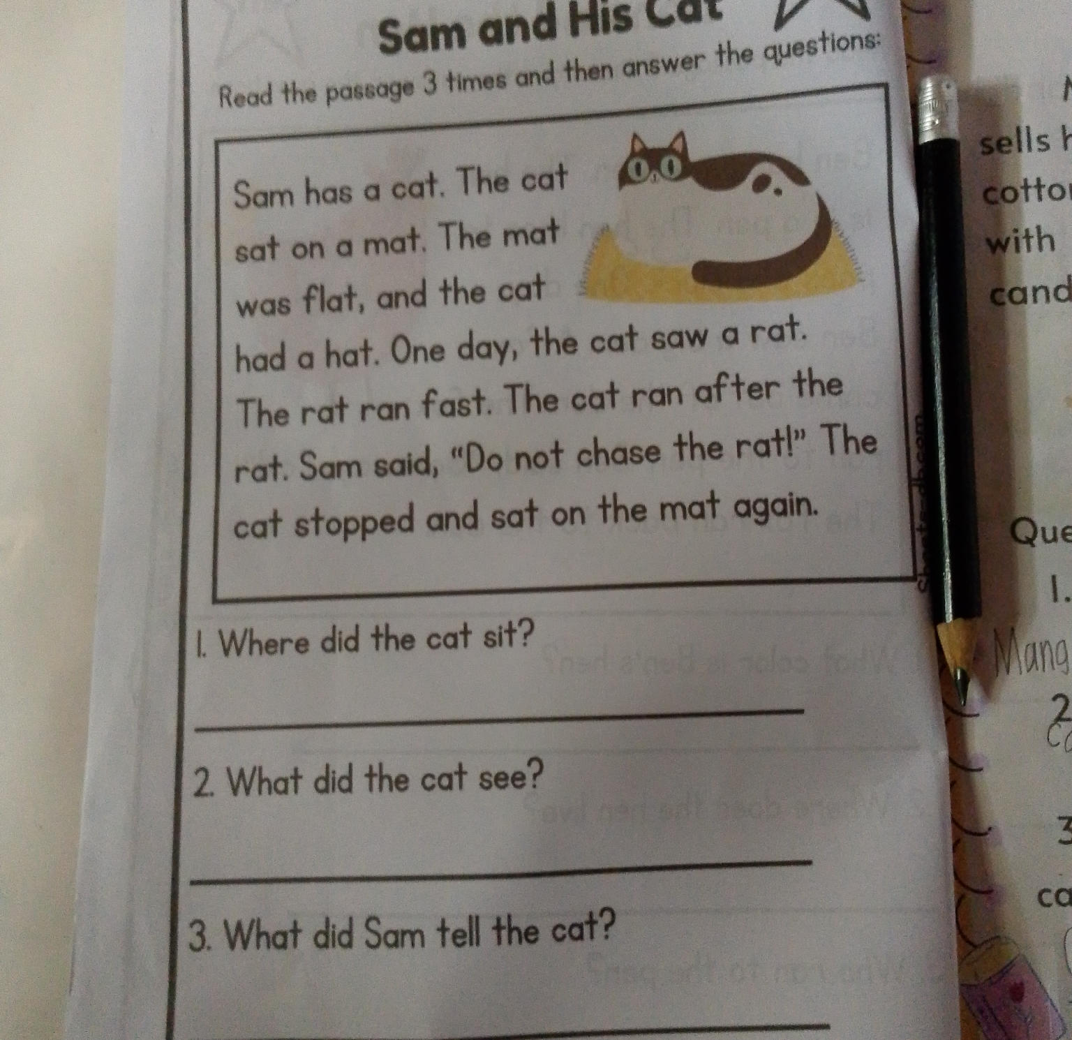 Sam has a cat. The cat sat on a mat. The mat | StudyX