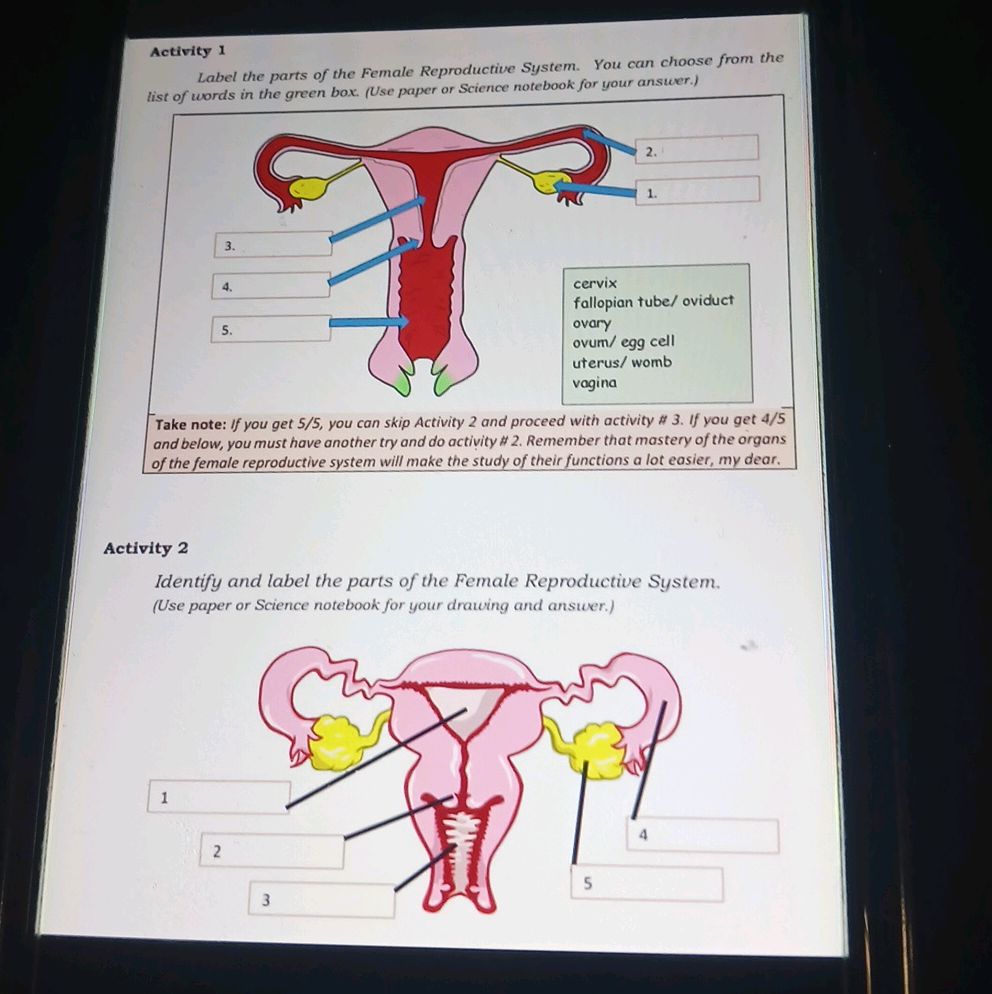 Activity 1 Label the parts of the Female | StudyX