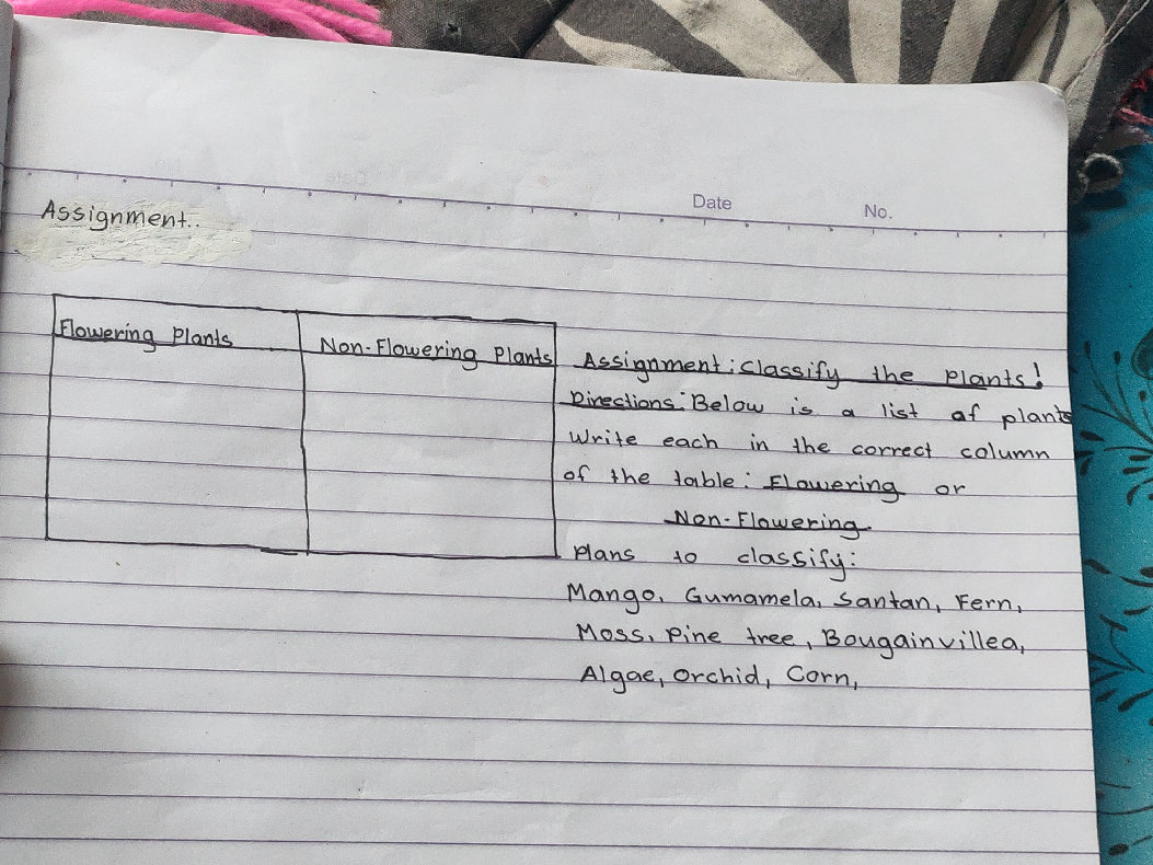 Assignment: classify the Plants! | StudyX