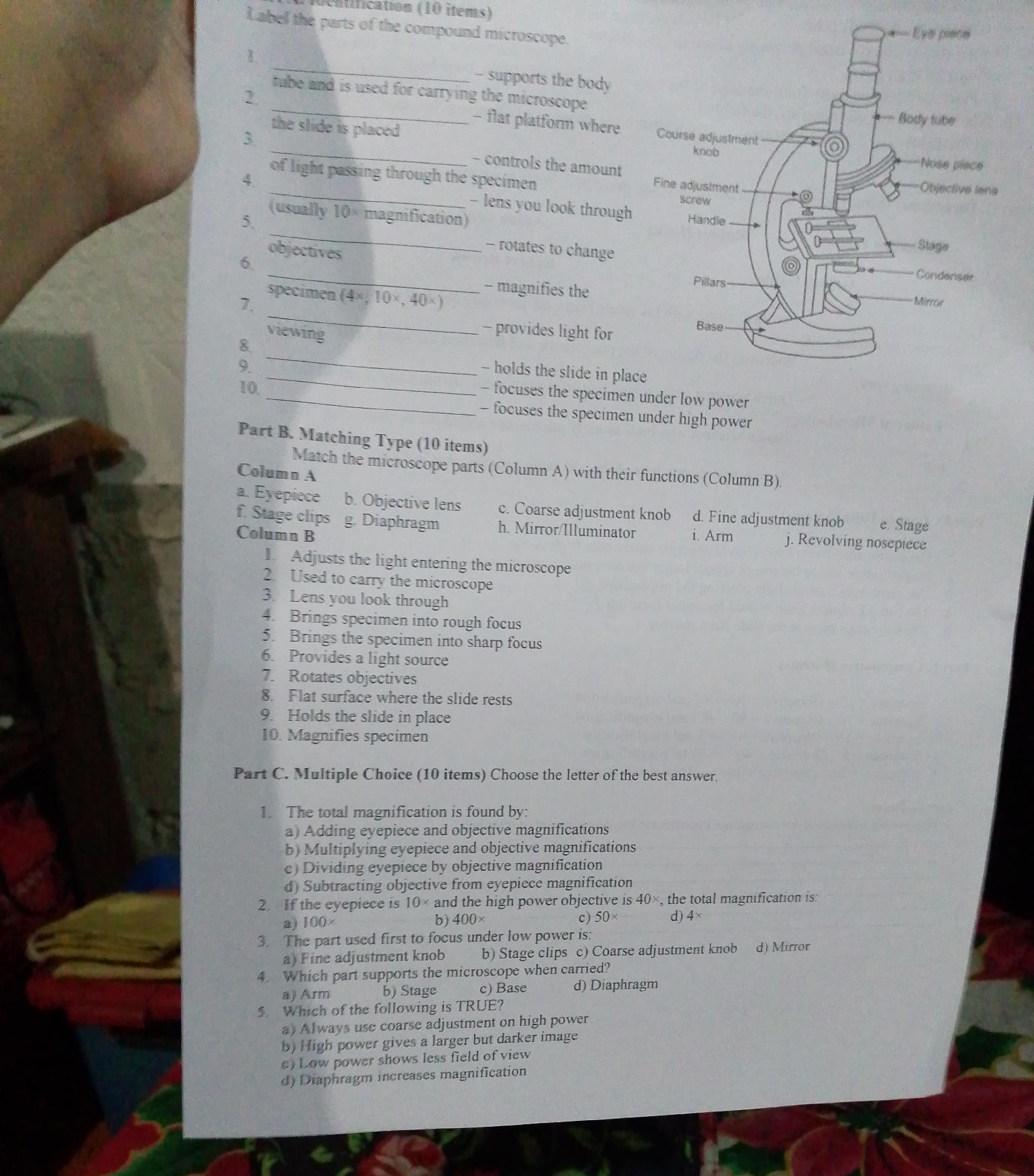 Label the parts of the compound microscope. | StudyX