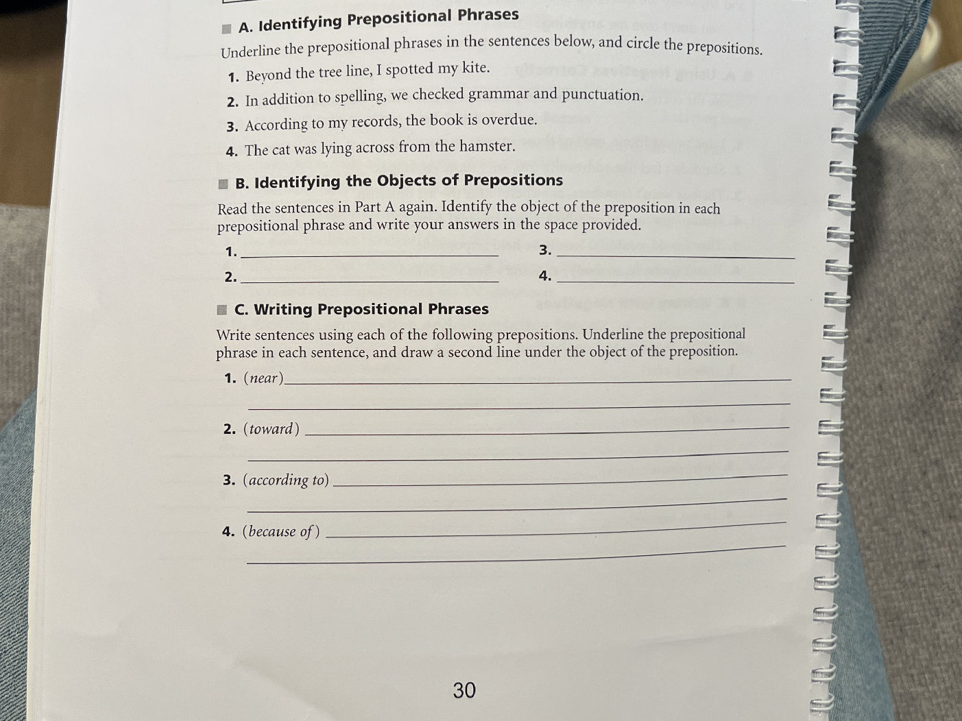 A. Identifying Prepositional Phrases | StudyX