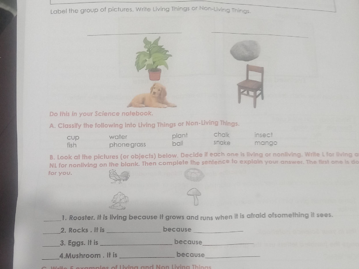 A. Classify the following into Living Things | StudyX