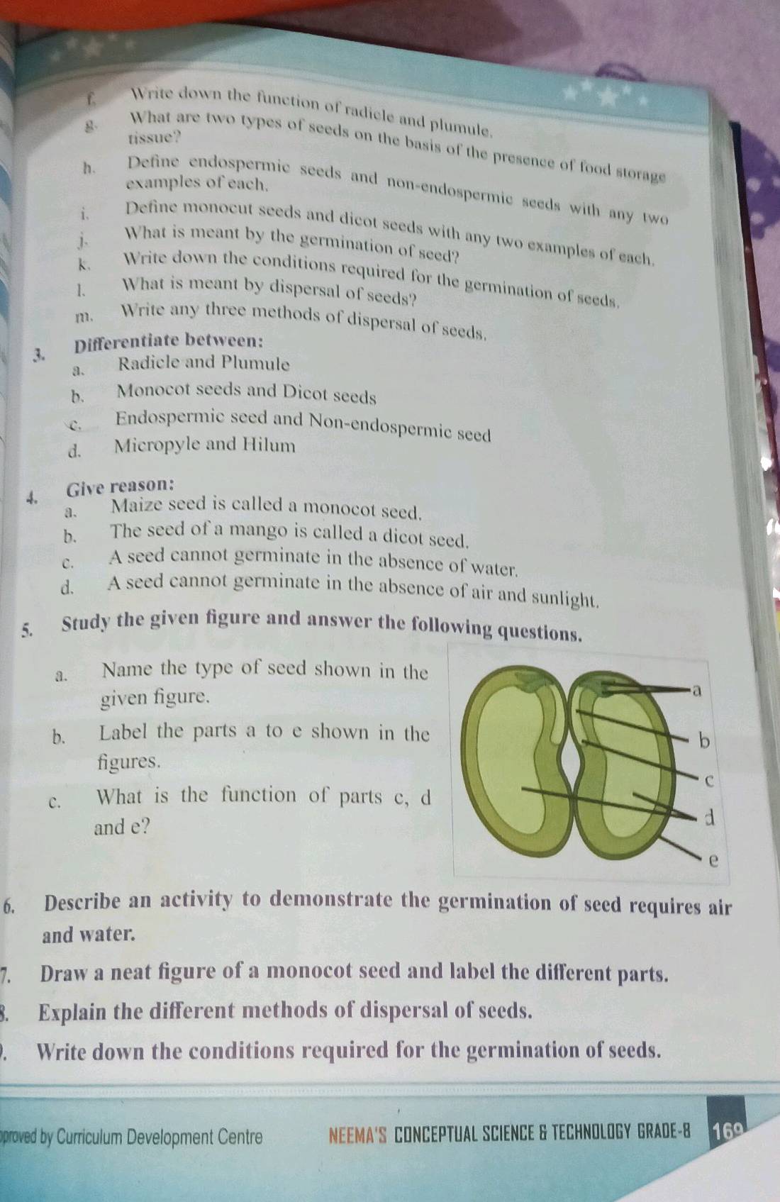 Write down the function of radicle and | StudyX