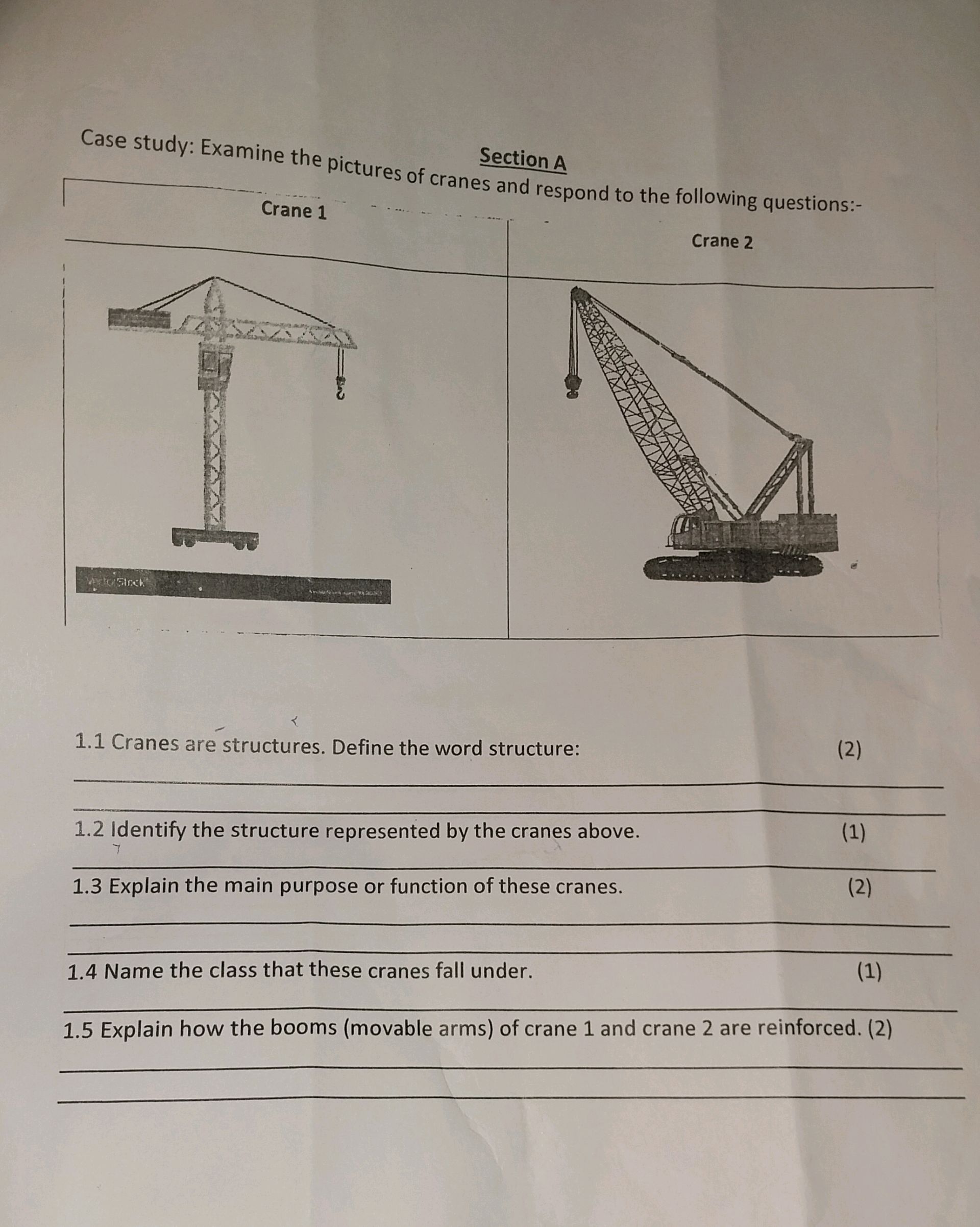 Case study: Examine the pictures of cranes | StudyX