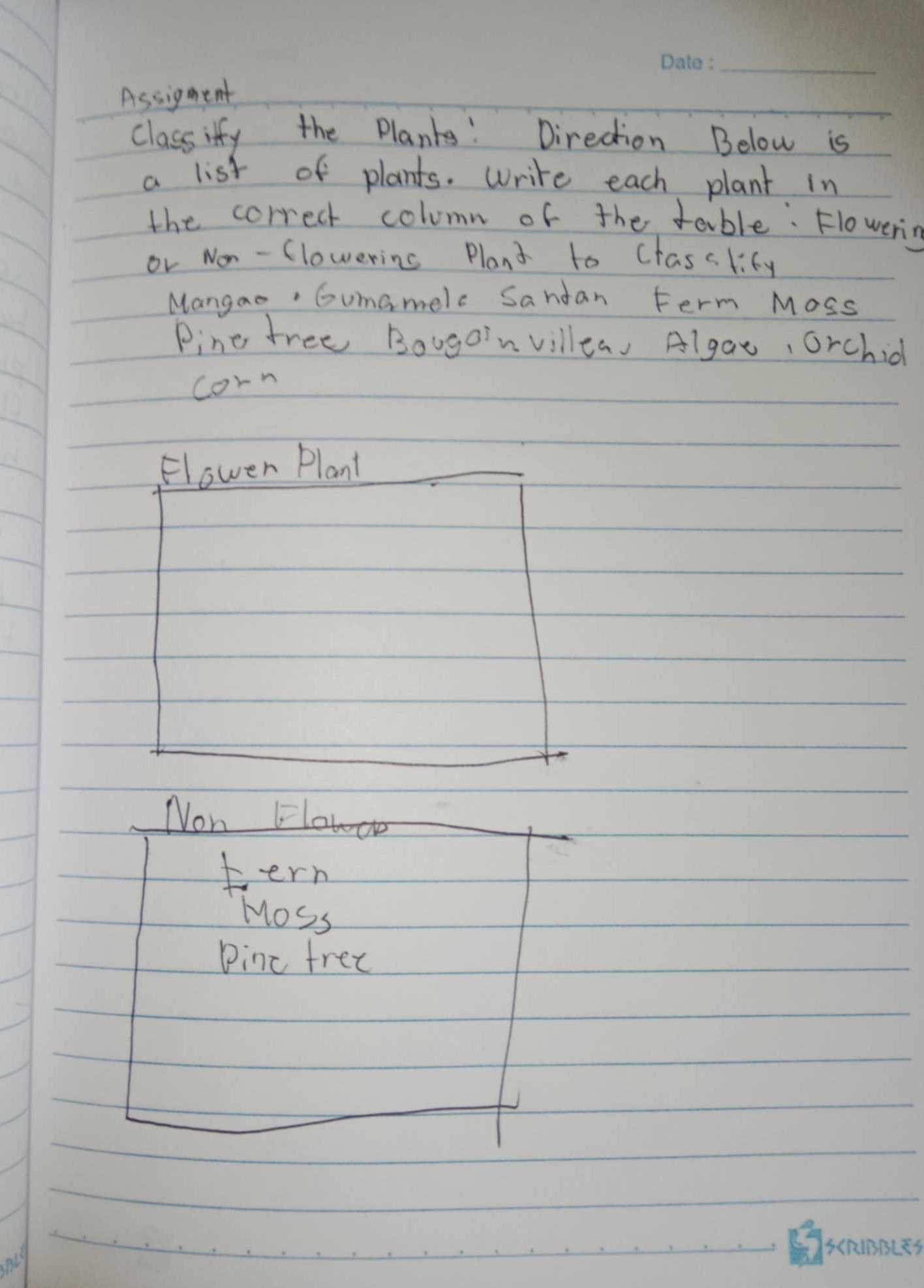 Classify the Plants! Direction Below is a | StudyX