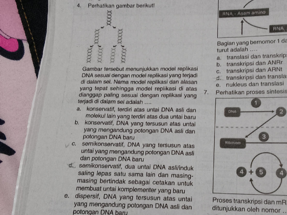 Perhatikan gambar berikut! [Gambar of DNA | StudyX