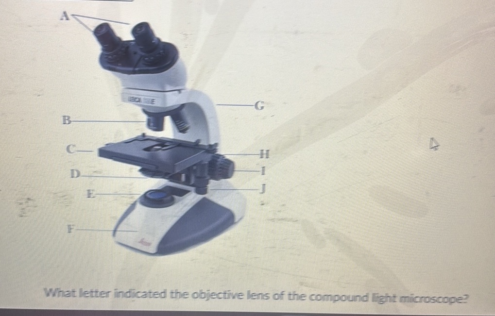 What letter indicated the objective lens of | StudyX