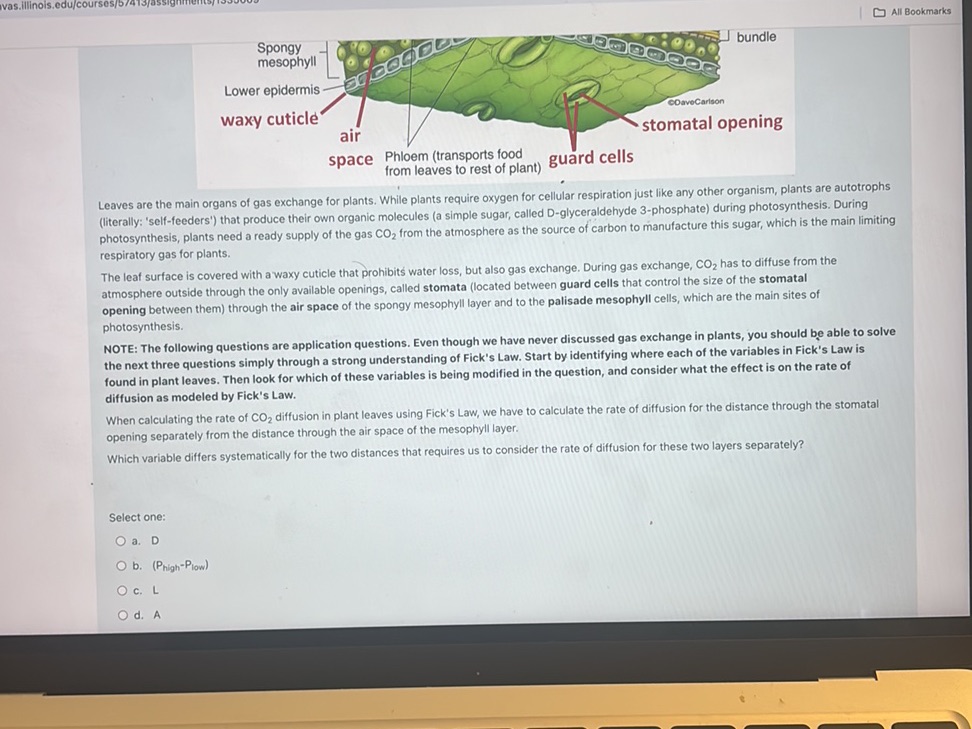 When calculating the rate of CO2 diffusion | StudyX