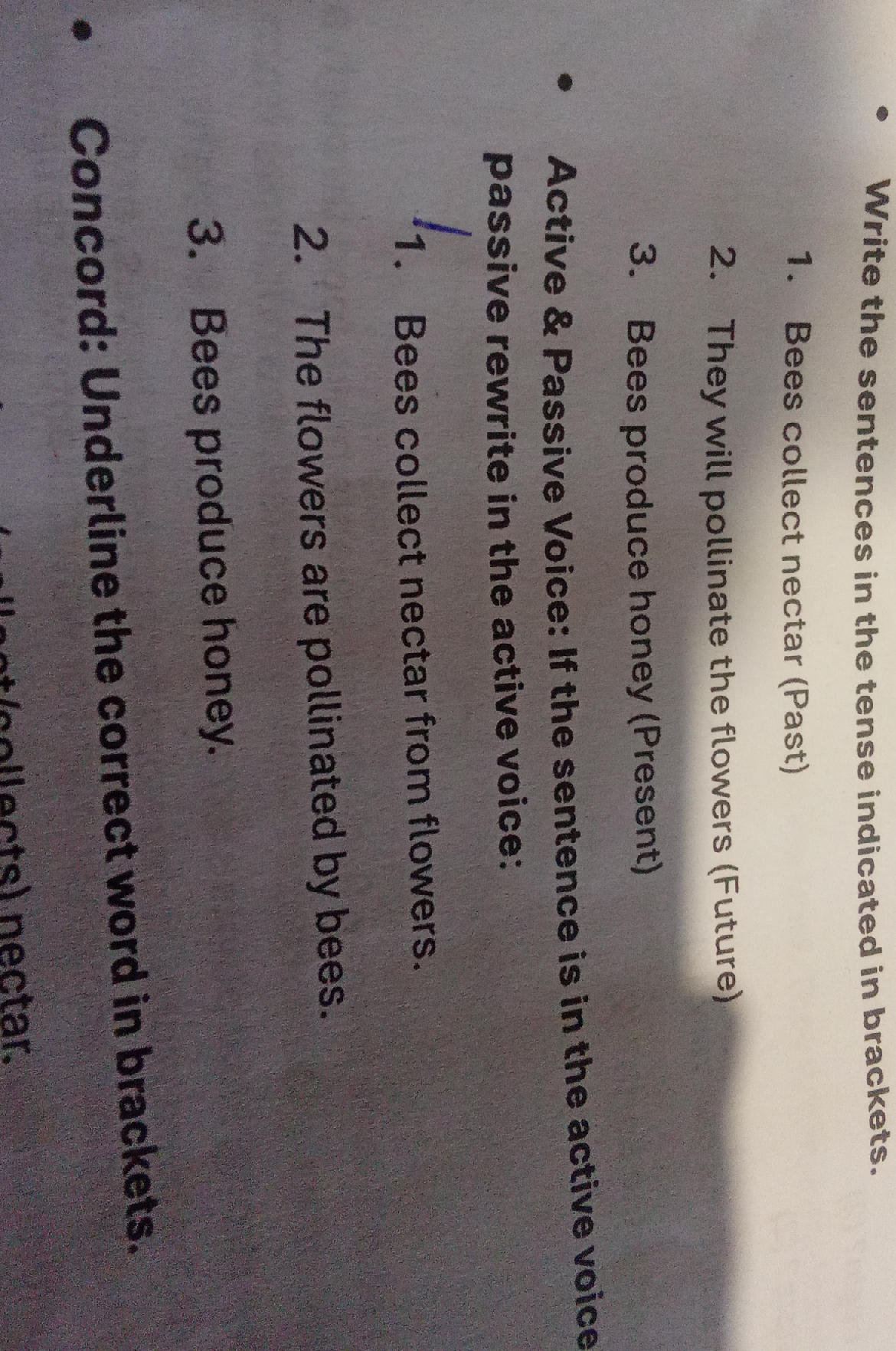 Active Passive Voice: If the sentence is | StudyX