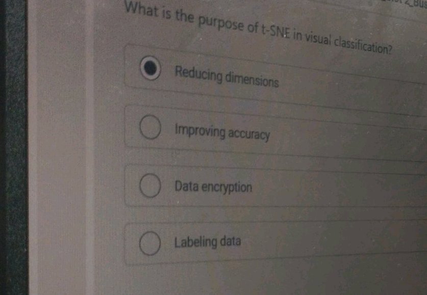 What is the purpose of t-SNE in visual | StudyX