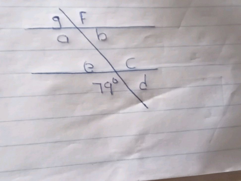 Given the diagram with two parallel lines | StudyX