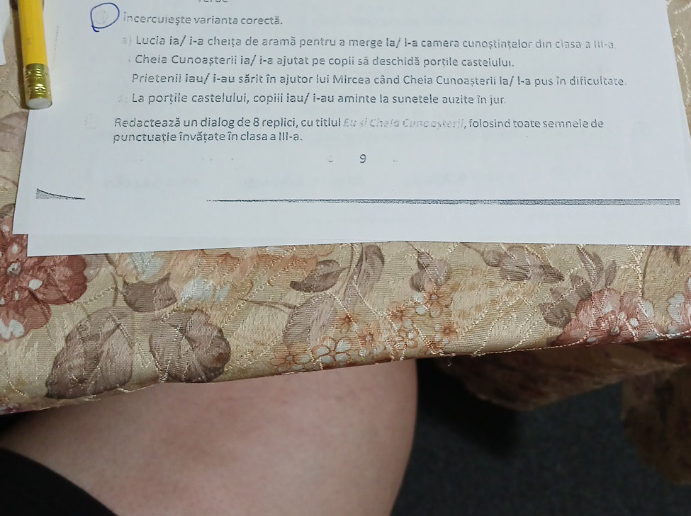 Încercuieşte varianta corectă. a) Lucia ia/ | StudyX