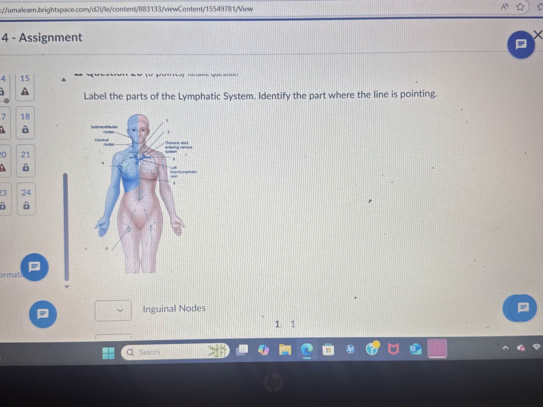 Label the parts of the Lymphatic System. | StudyX