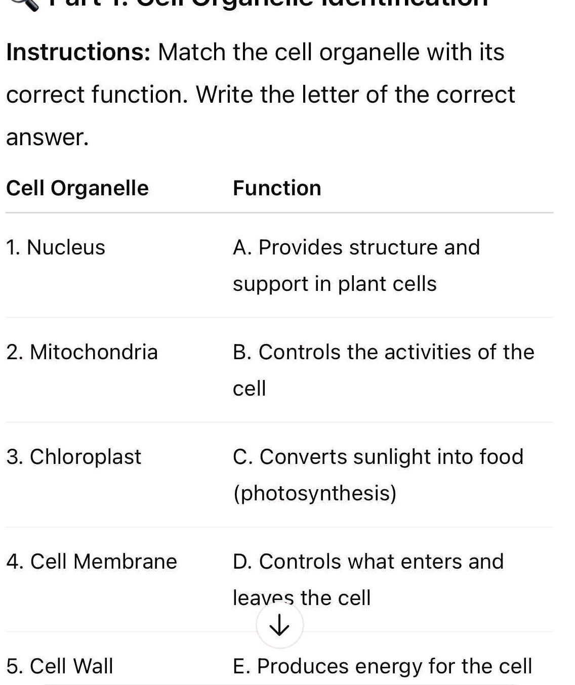 Instructions: Match the cell organelle with | StudyX