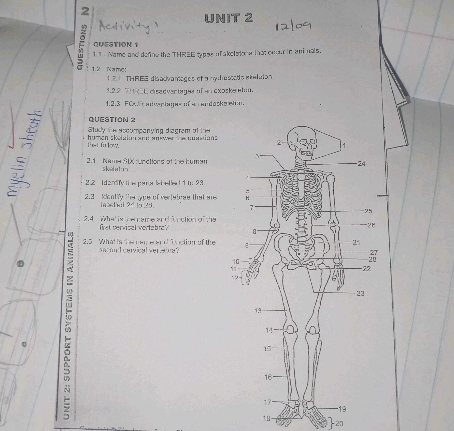 Study the accompanying diagram of the human | StudyX