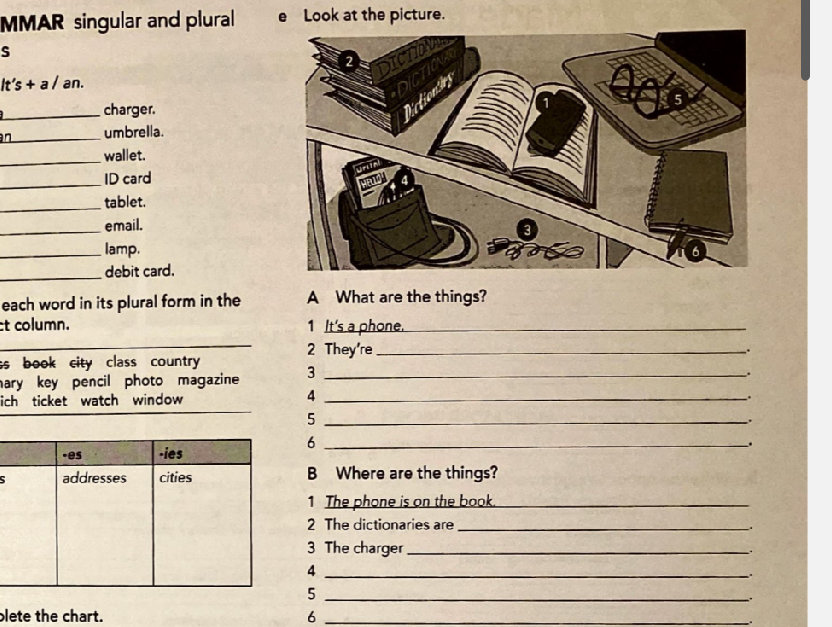 Write each word in its plural form in the | StudyX