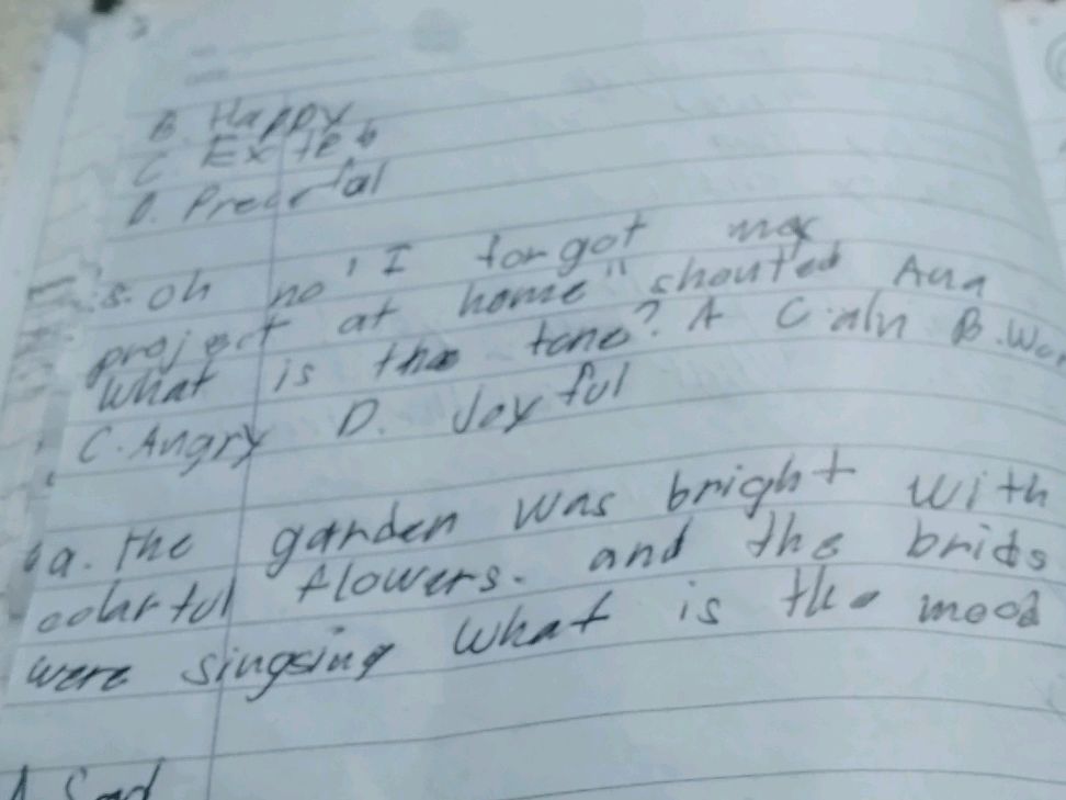 B. Happy Exte 1. Preactal 8. oh no 'I | StudyX