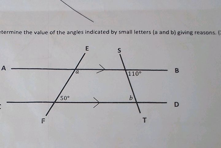 Determine the value of the angles indicated | StudyX