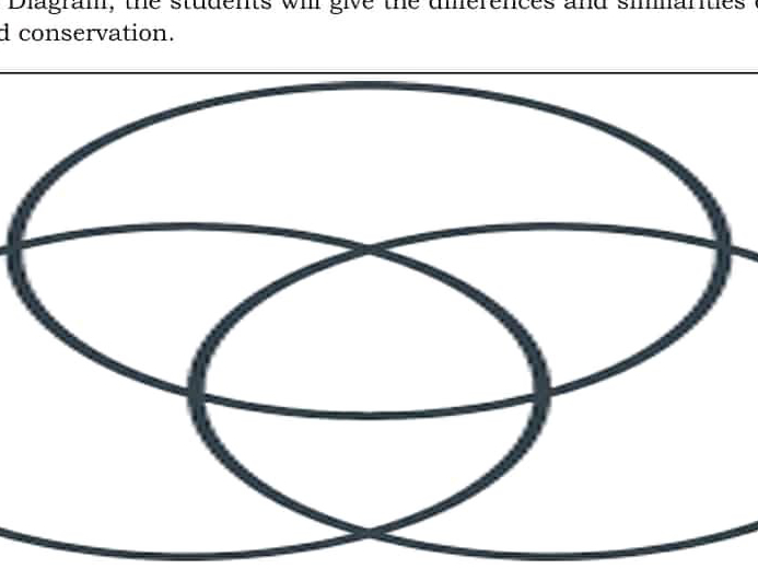 Diagram, the students will give the | StudyX