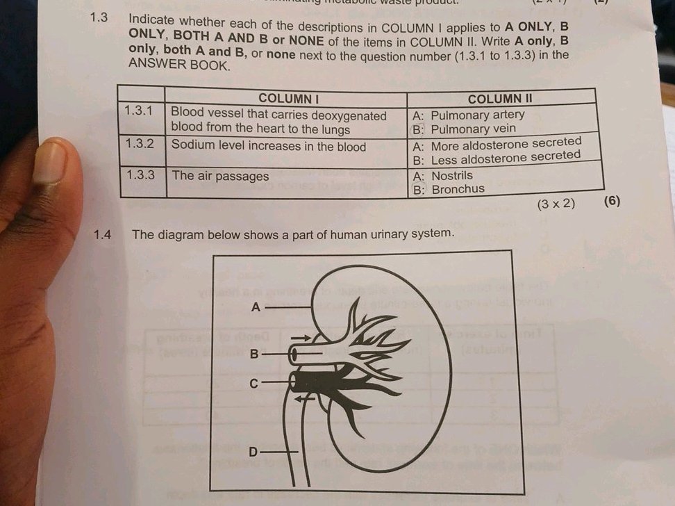 The diagram below shows a part of human | StudyX